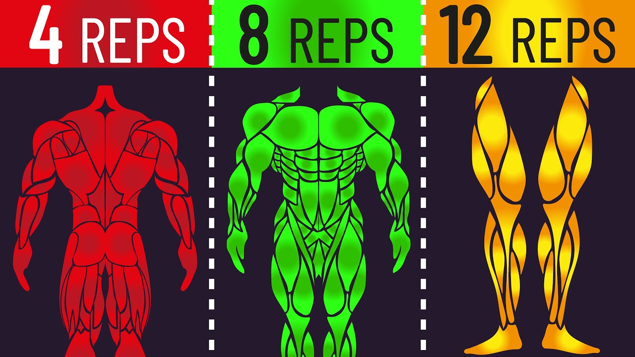 4 vs 8 vs 12 Reps for Strength & Hypertrophy - wellnesspositivevibes.com